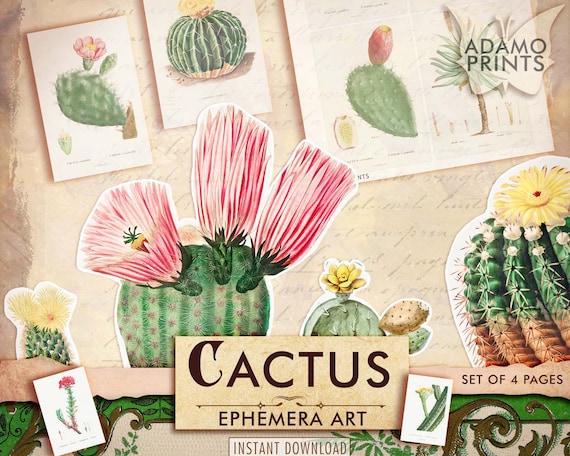 Cactus Digital Succulents Digital ATC Collage Sheet | Etsy