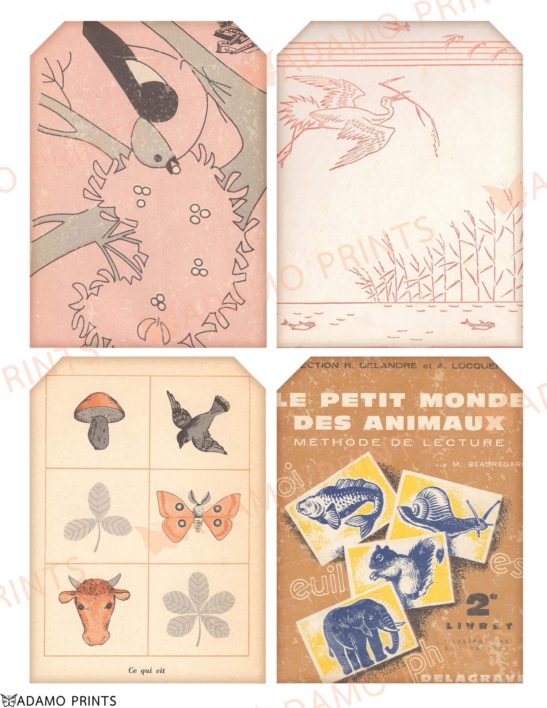 French Shabby Animal, Journal Cards, Flash Cards, Digital Images ...