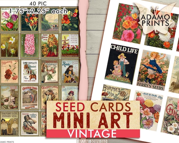 Mini Art Vintage Seed Cards Miniature Images Journal - Etsy