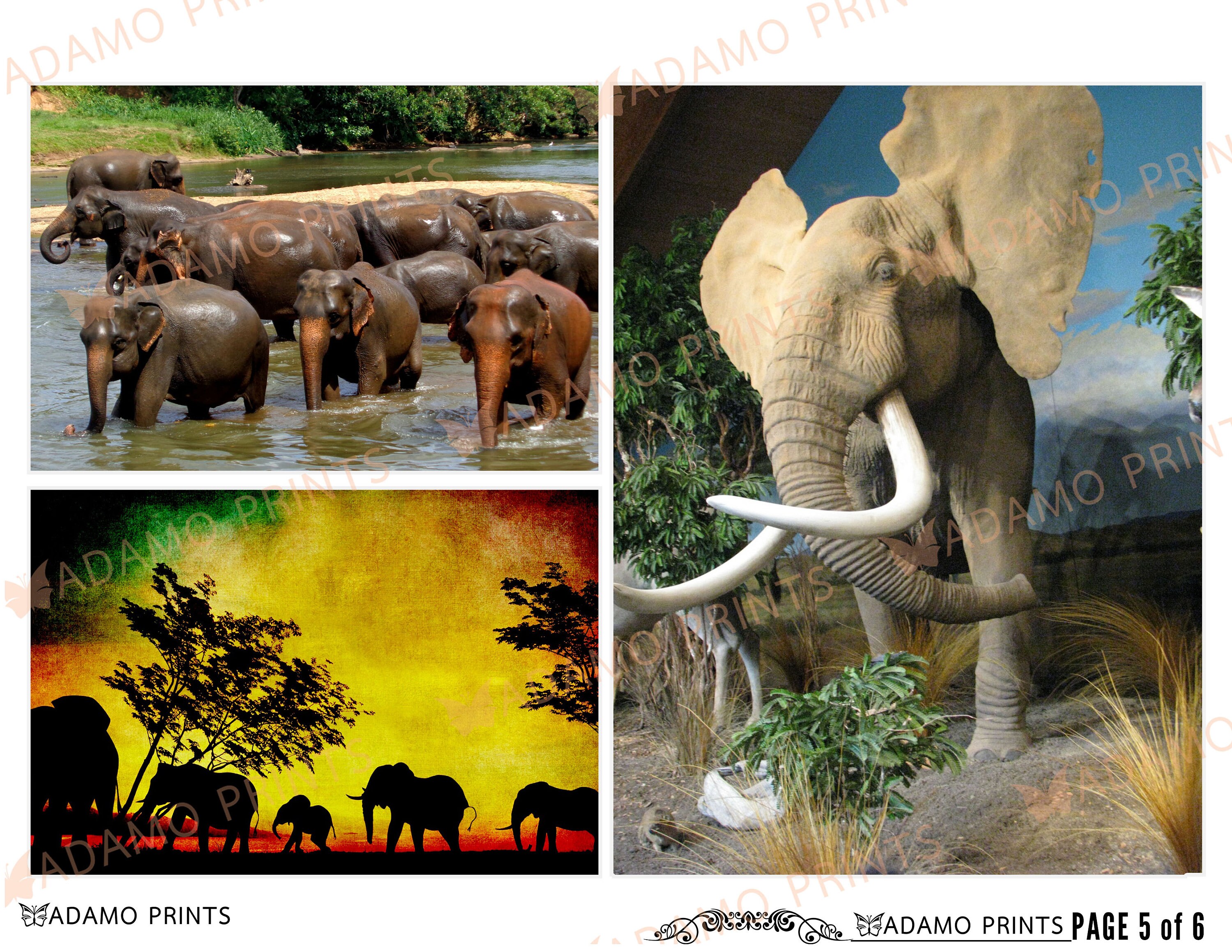 Elephant Digital Collage Ephemera Classics Vintage Vintage | Etsy