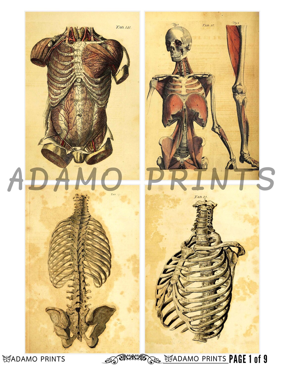 Spooky Horror Paranormal Occult Witch Raven Skeleton | Etsy