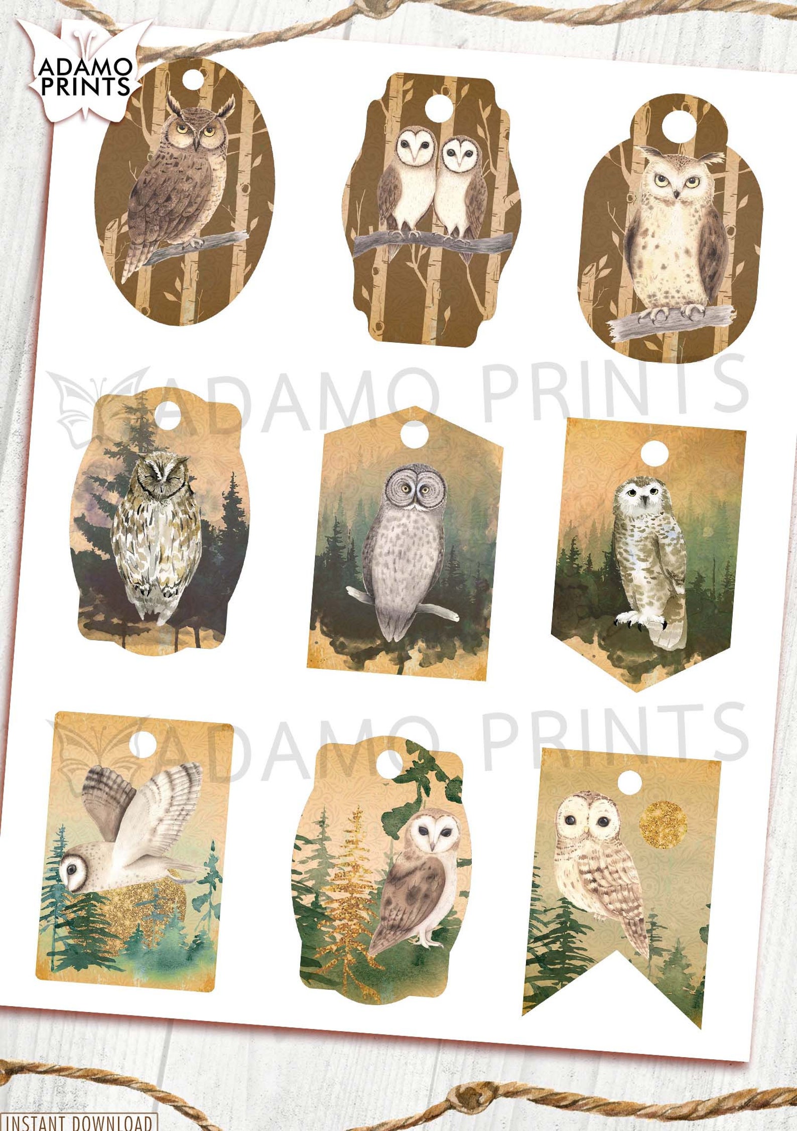 Forest Owl Journal Kit, Blank & Lined Page, Woodland, Collage Sheets ...