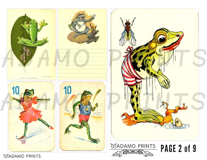 The Frogs Animal Digital Trade Card ATC Woodland Digital - Etsy