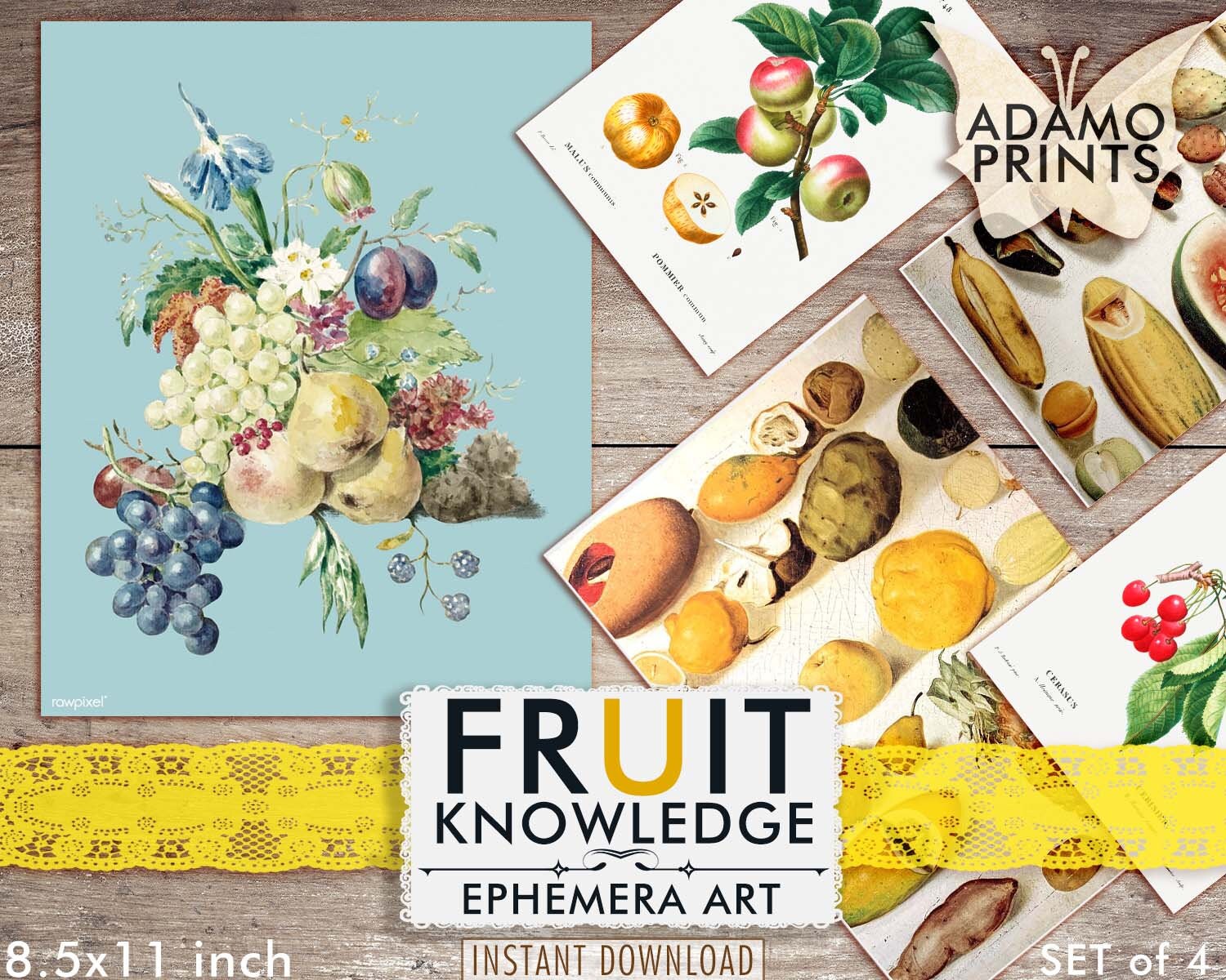Fruit Knowledge Fruit Vintage Digital Digital Ephemera Art - Etsy