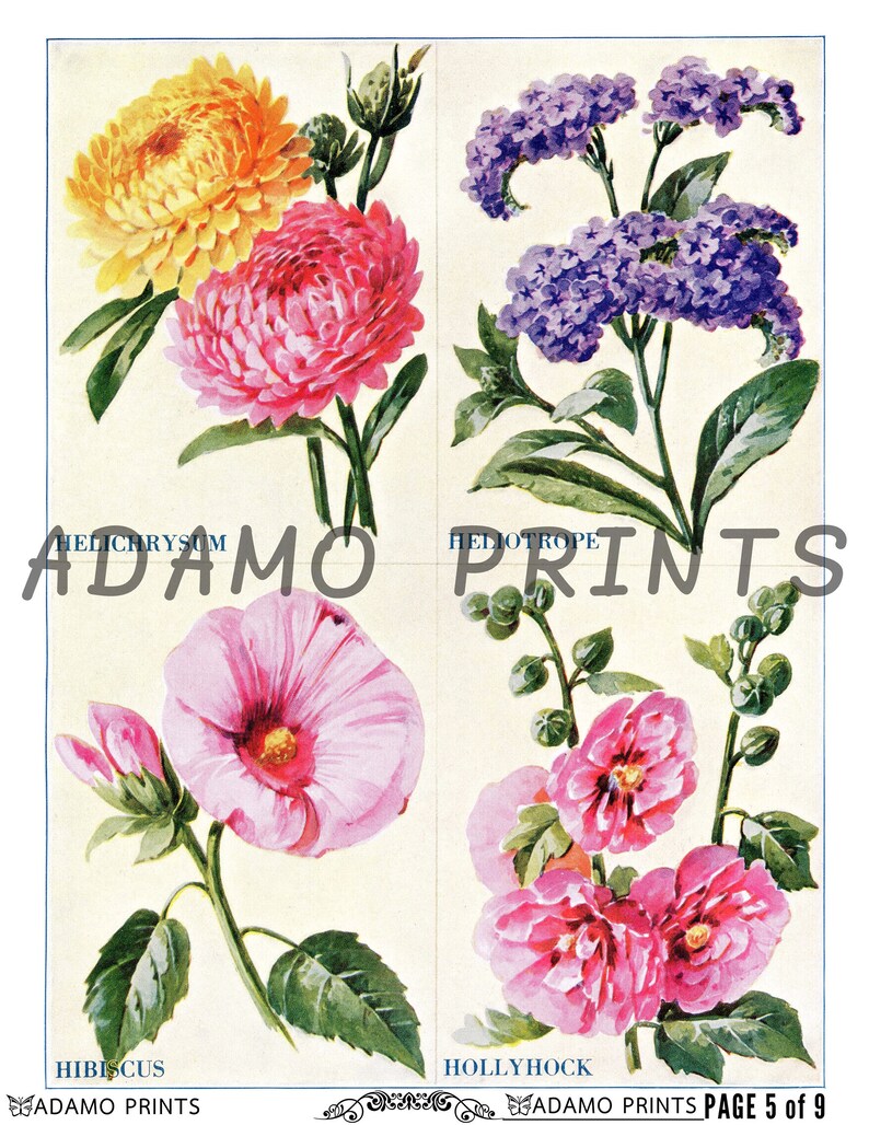 Watercolor Flower Garden Set2 Ephemera Flower Digital Image - Etsy