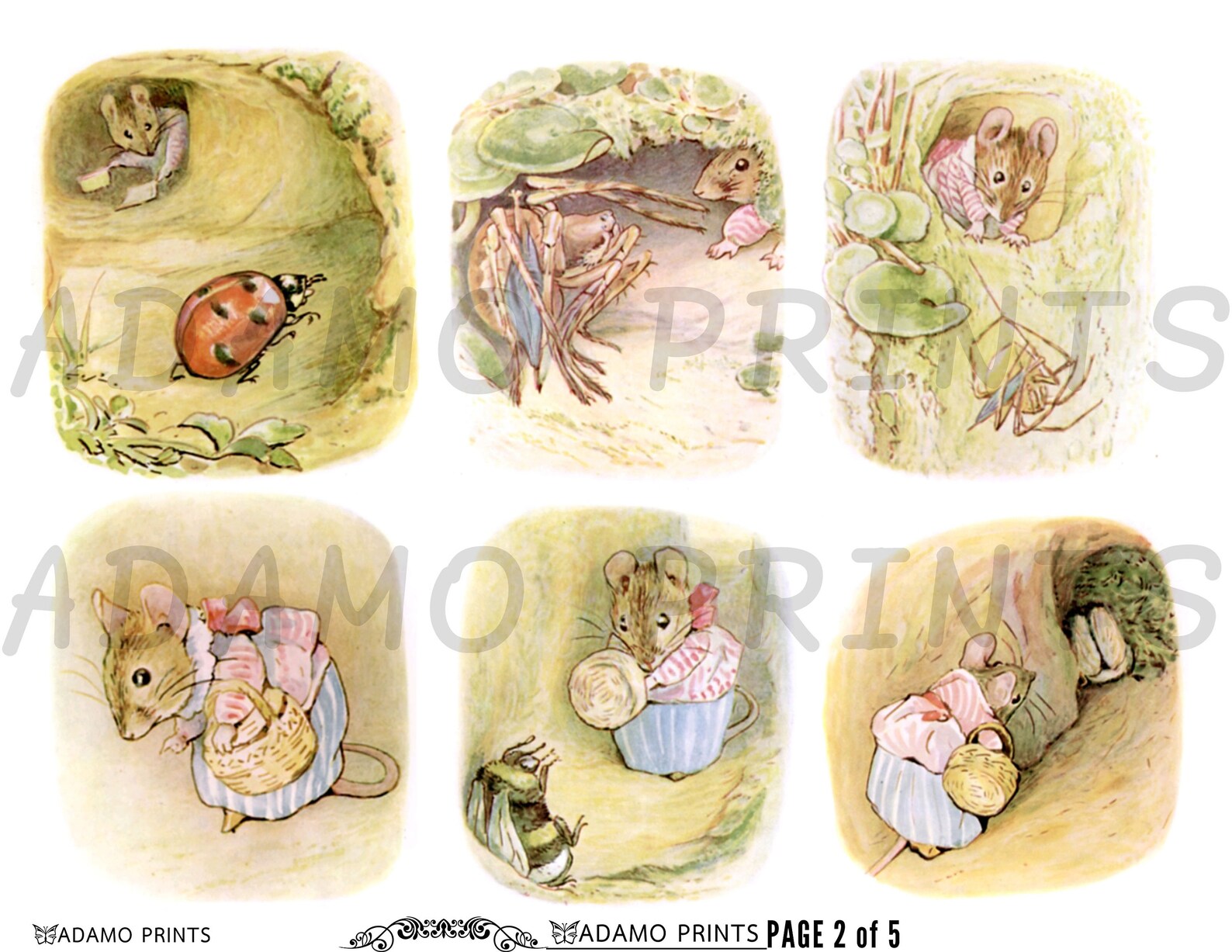 Beatrix Potter Book the Tale of Mrs. Tittlemouse Children - Etsy