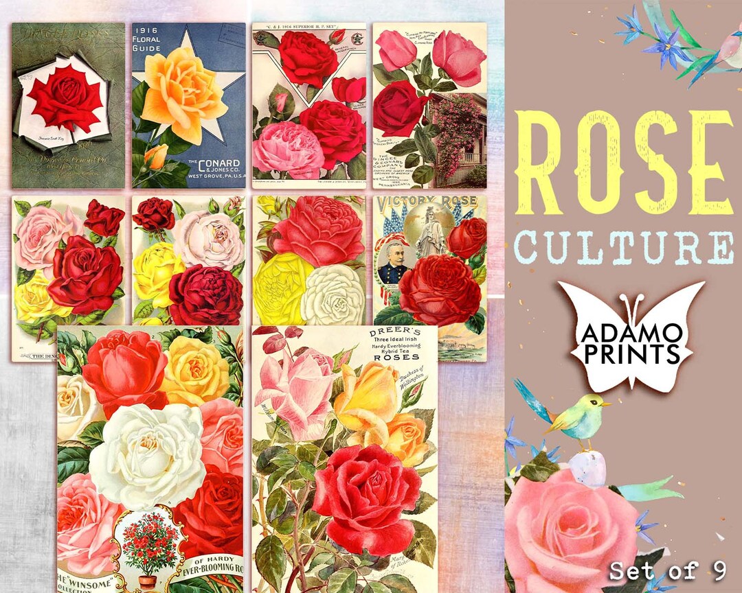 Rose Culture, Roses Garden, Flower Digital, Printable Image, ATC ...