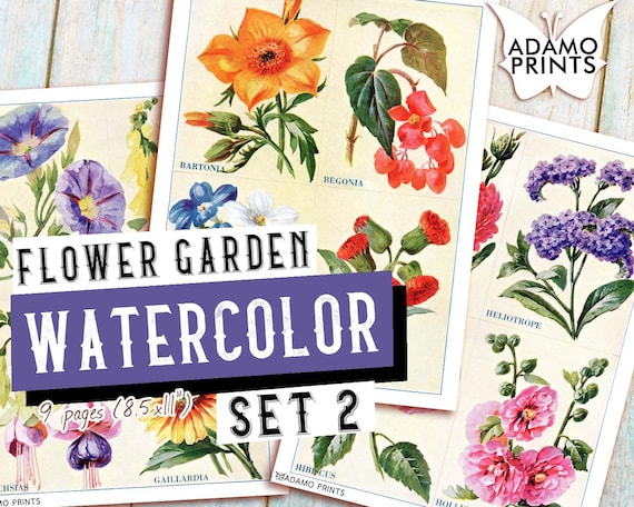Watercolor Flower Garden Set2 Ephemera Flower Digital Image - Etsy