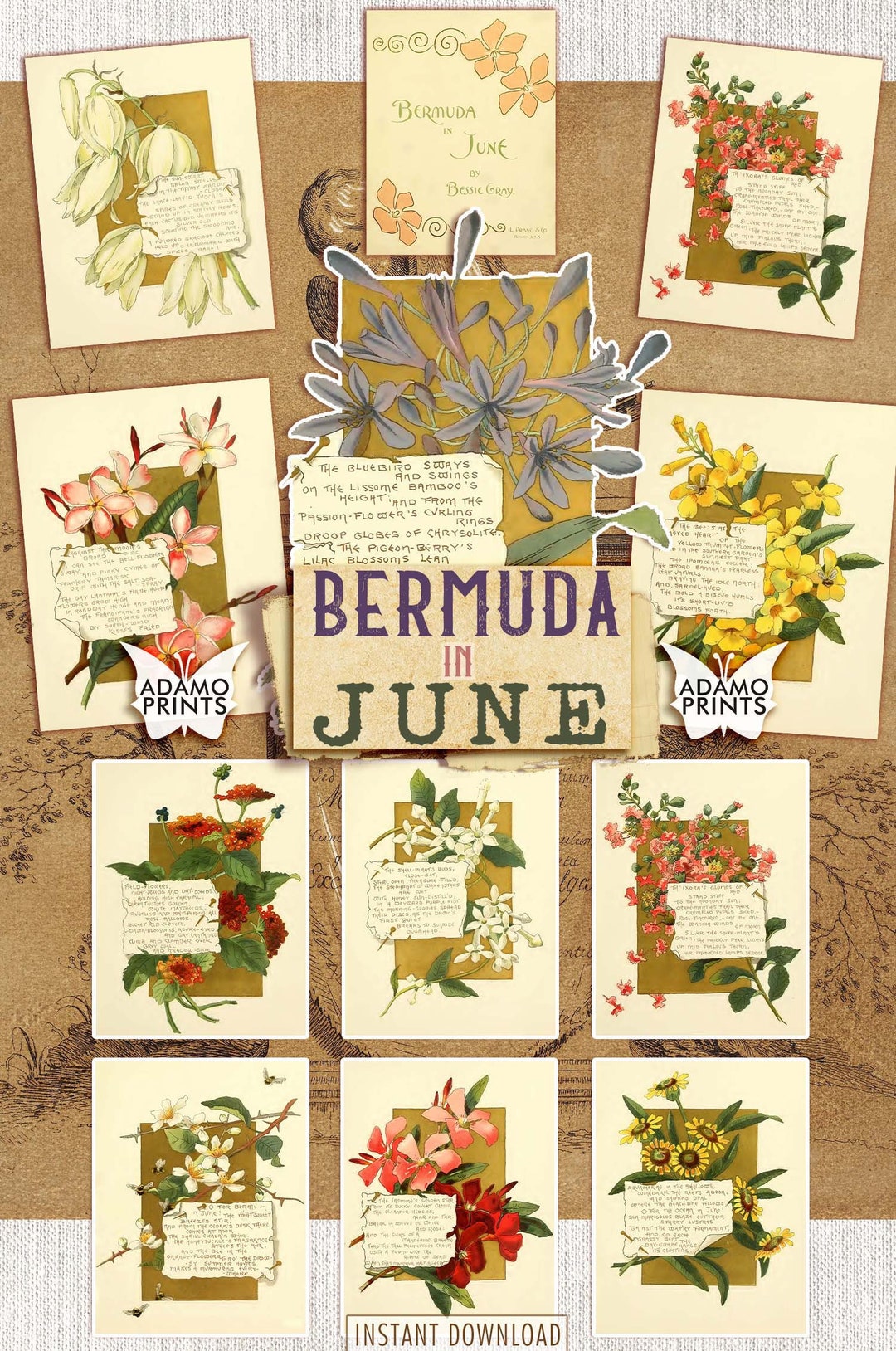 Bermuda in June by Bessie Gray, Digital Book Page, Poem Digital ...