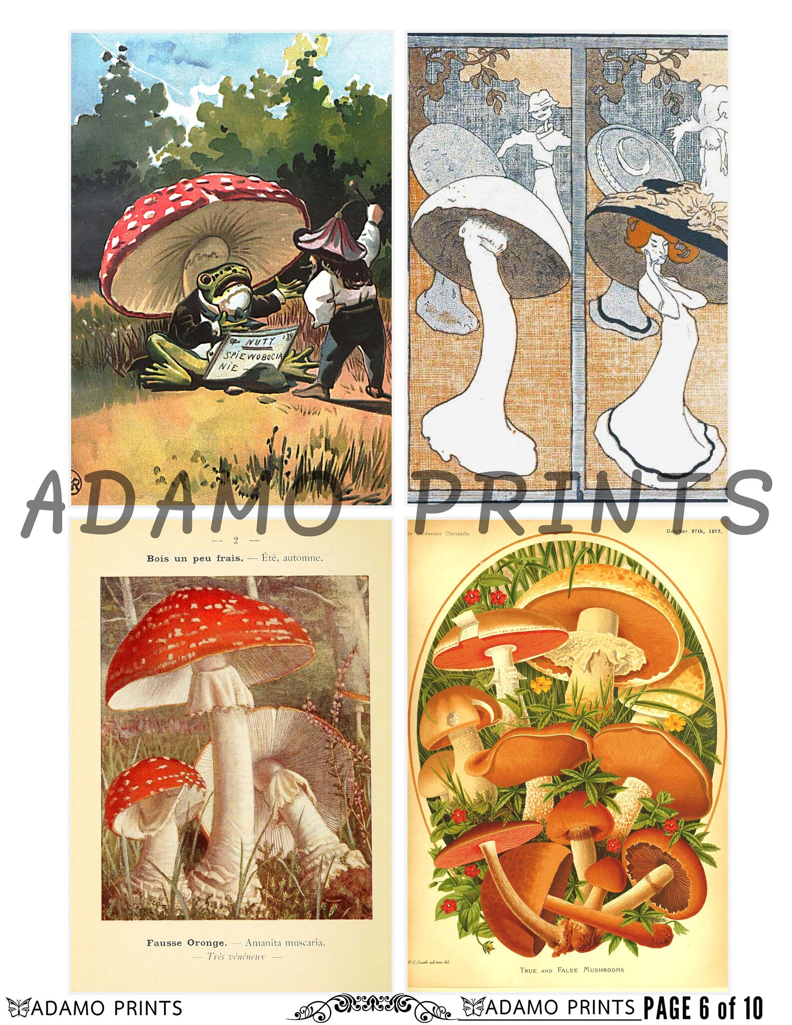 Mushroom Fungi Printable Mushrooms Toadstool and Mushroom - Etsy