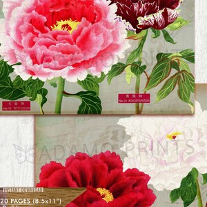 Vintage Peonies Cover Art, Japanese Flower Paper, Junk Journaling Kit ...