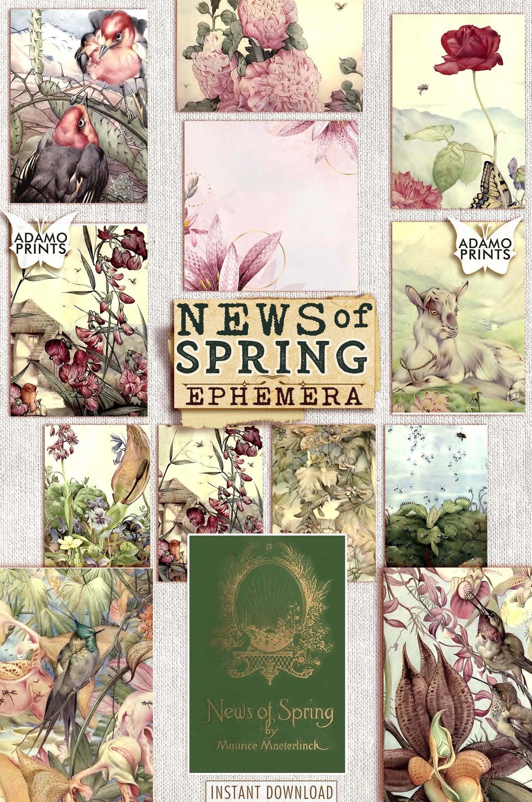 News of Spring, Digital Art, Nature, Vintage Art, Alter Art Digital ...