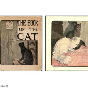 The Book of the Cat, Book Page, Children Book Digital, Ephemera Cat ...