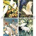 Nature Bird Series, Digital Images, Animal Digital, Ephemera Classic ...
