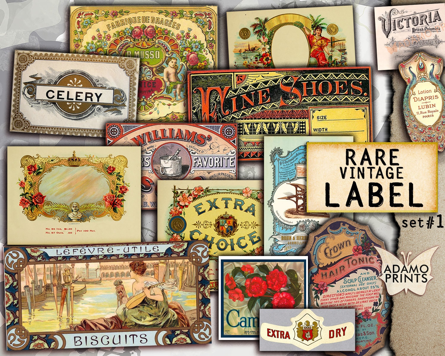 Rare Vintage Label Set1 Crate Labels Color Labels Digital - Etsy UK
