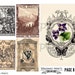 Rare Bookplate Set1 Ex Libris Digital Bookplate Printable - Etsy