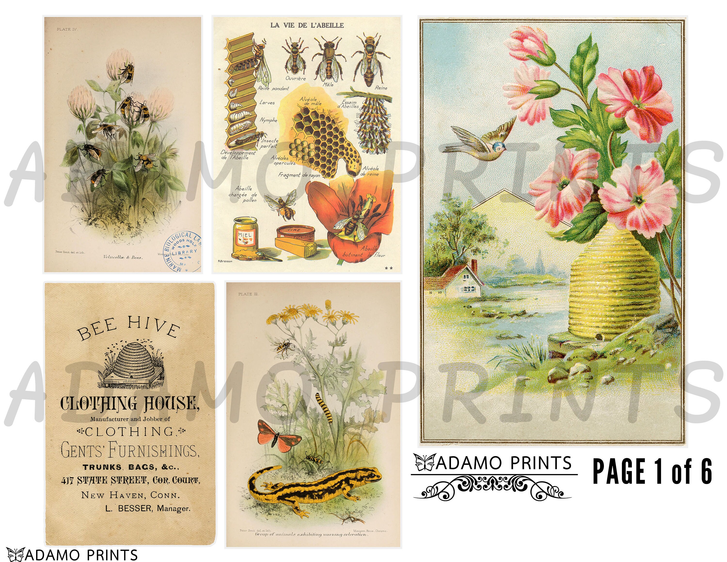Busy Bee Ephemera Classics Bee Digital Printable Images - Etsy
