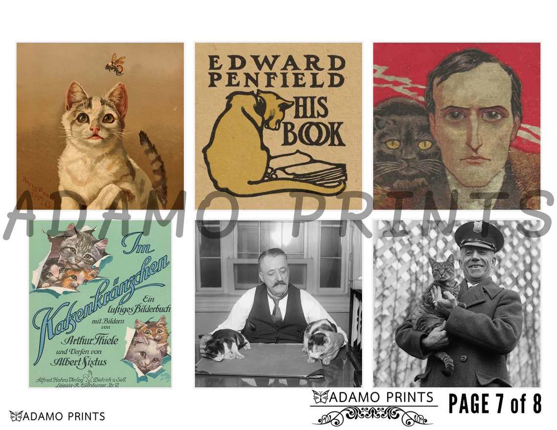 Perfect Cat Photos Printable Images Vintage Art Ephemera | Etsy