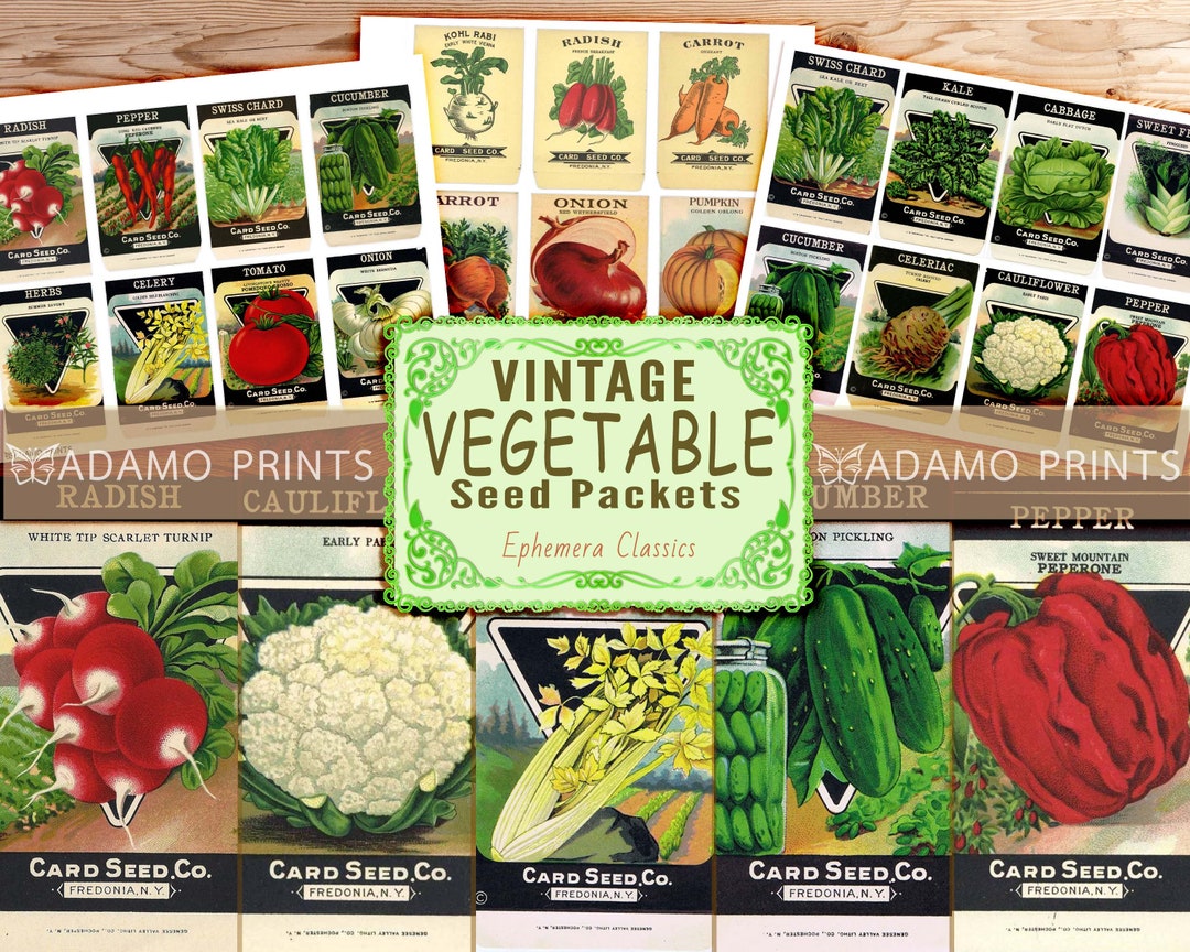 Vintage Vegetable Seed Packets, Digital Images, ATC, Plants, Scrapbook ...