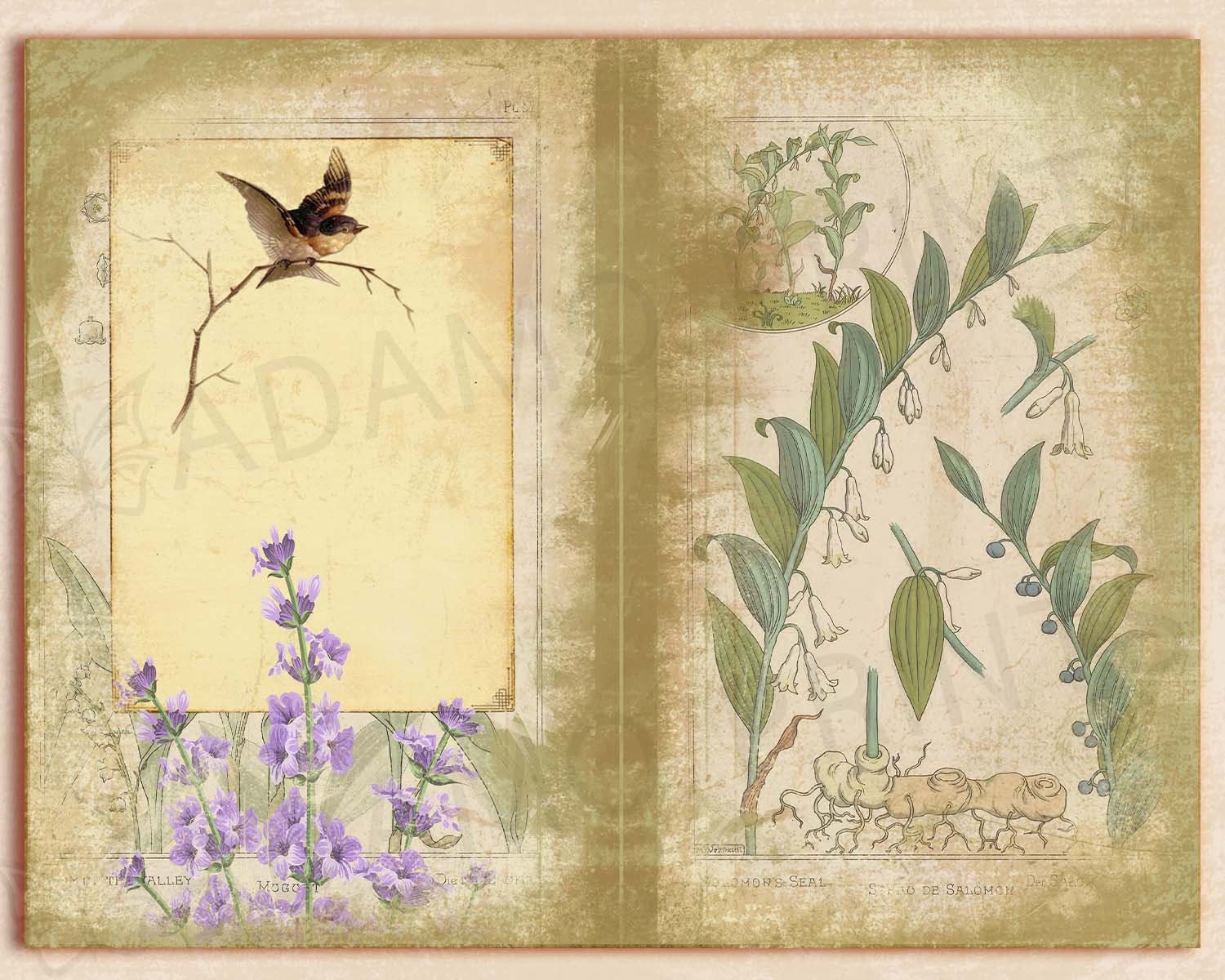 Motif Shabby Journal Kit Journal Page Collage Sheets - Etsy