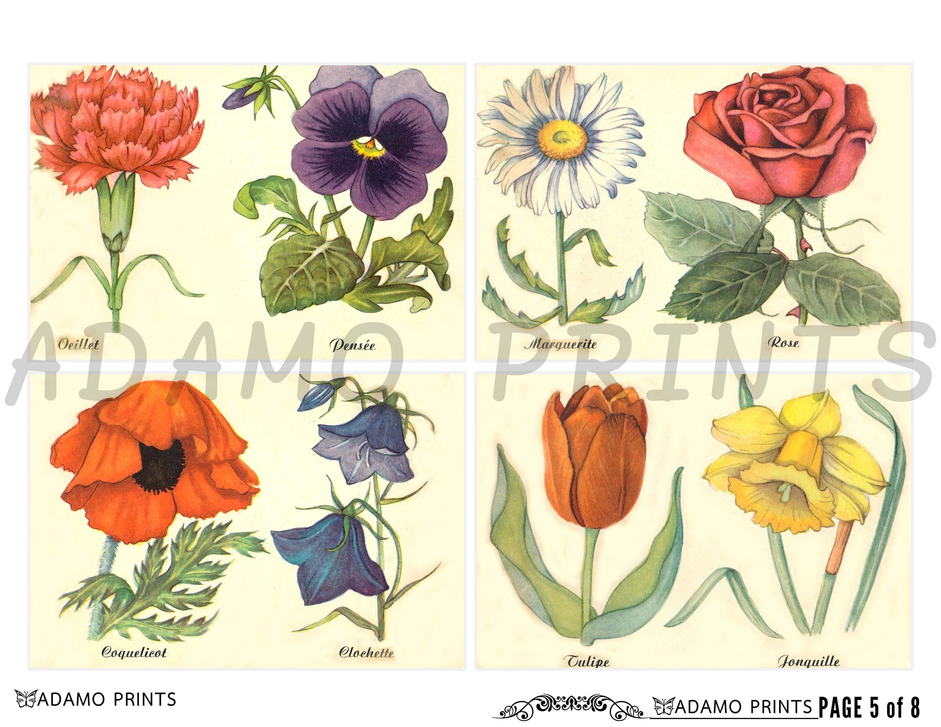 Bloom Flower, Digital Images, Vintage Art, Sunflower, Tulip, Rose ...