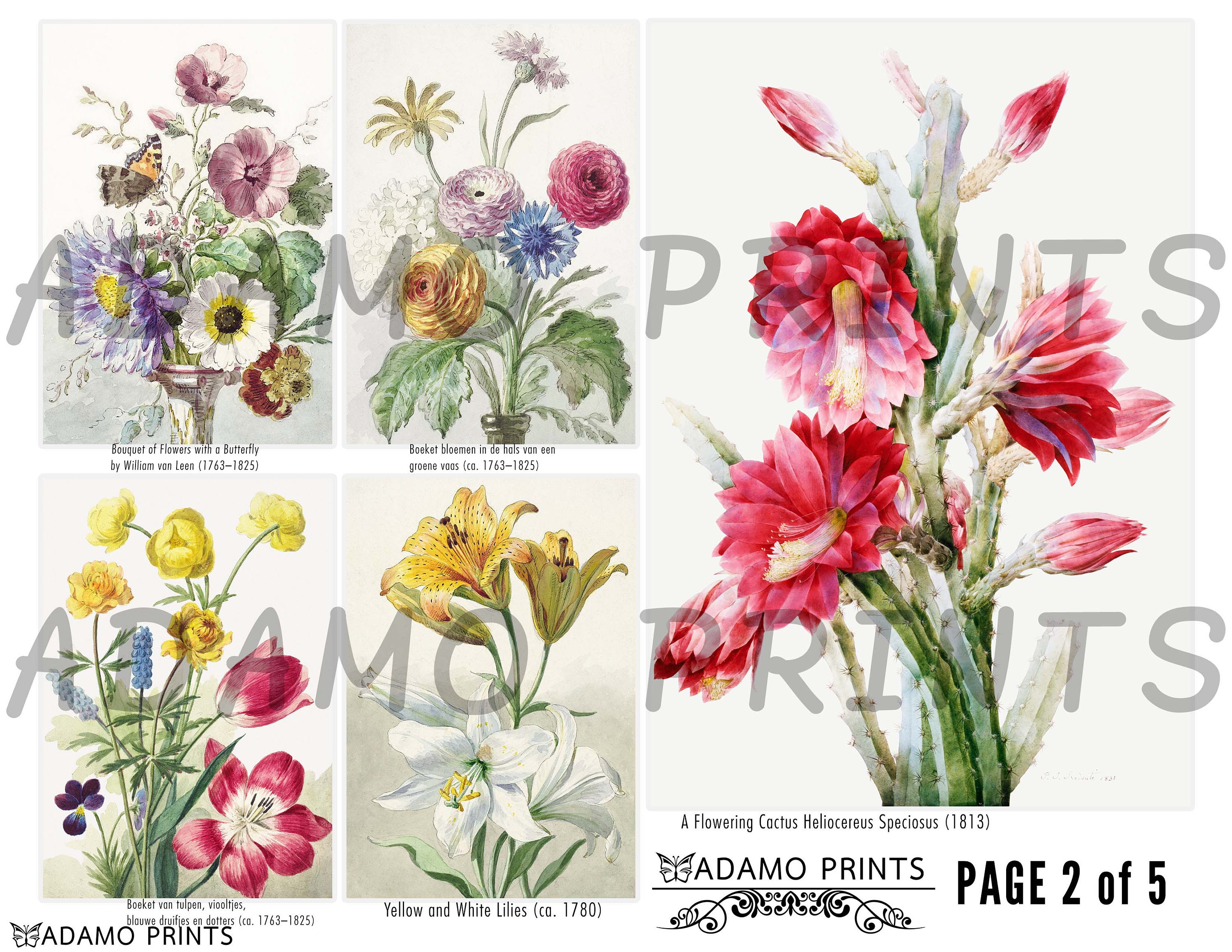 When Flower Bloom Set1 Flower Digital Digital Ephemera - Etsy