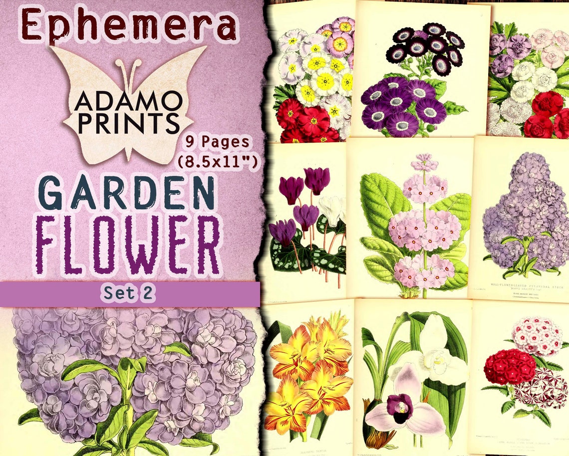 Garden Flower Set2 Ephemera Flower Digital Image Vintage | Etsy