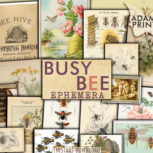 Busy Bee Set2 Ephemera Classics Cards Printable Images - Etsy