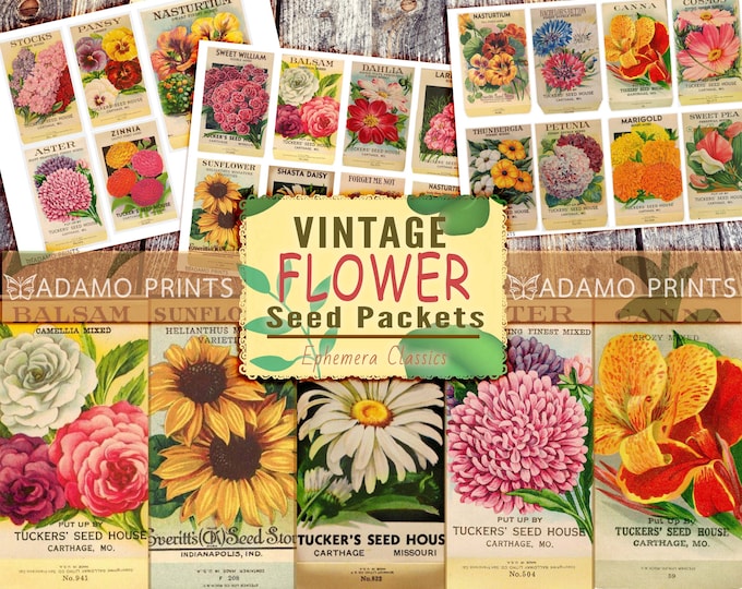 78 Mega Bundle of Vintage Seed Packet PNG Clipart Bundle Scrapbooking ...