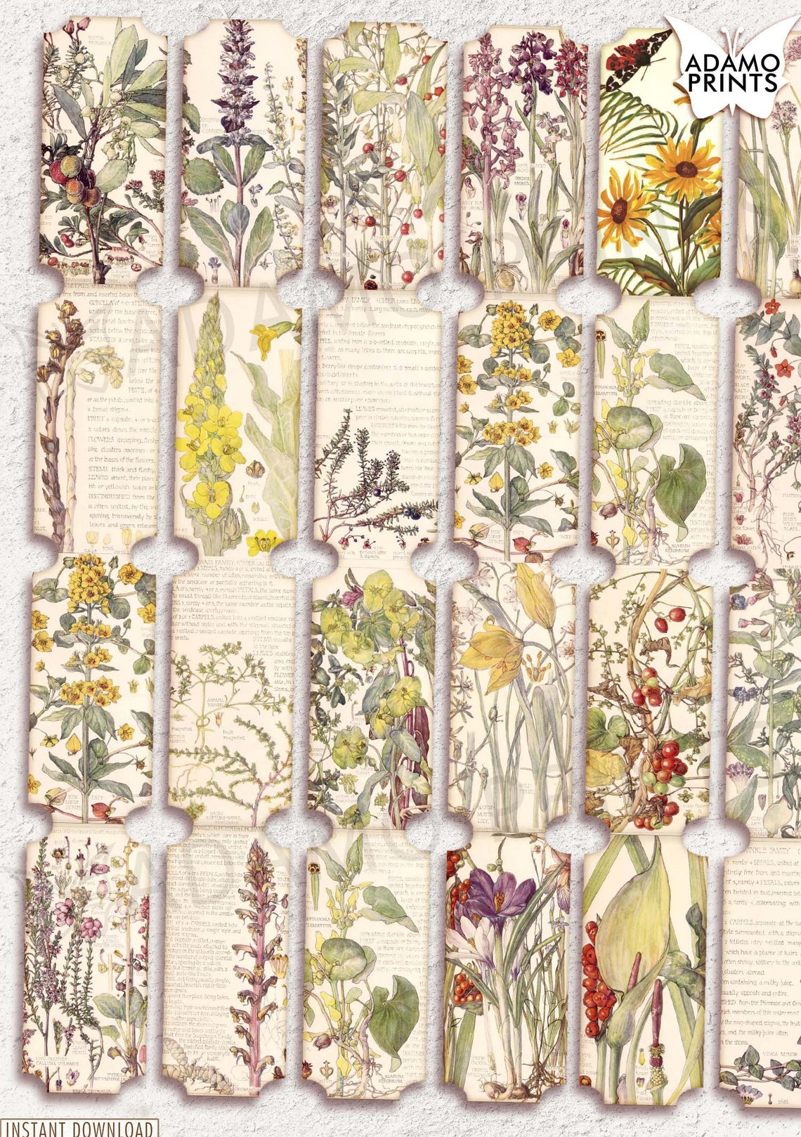 Blooming Wildflower Journal Kit, Journal Page, Collage Sheets ...