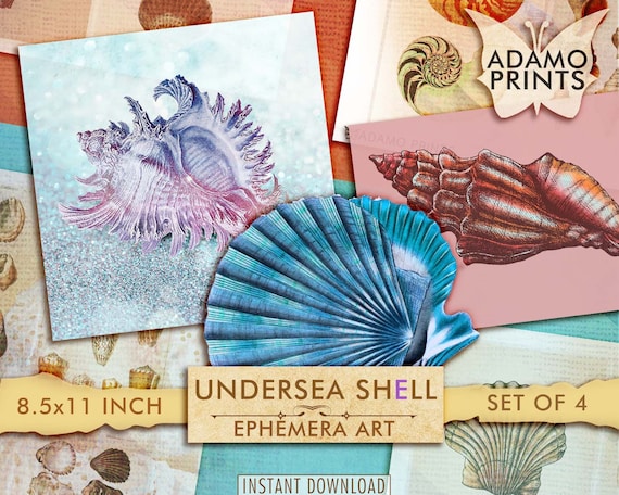 Undersea Shell Ephemera Classics Science ATC Science | Etsy