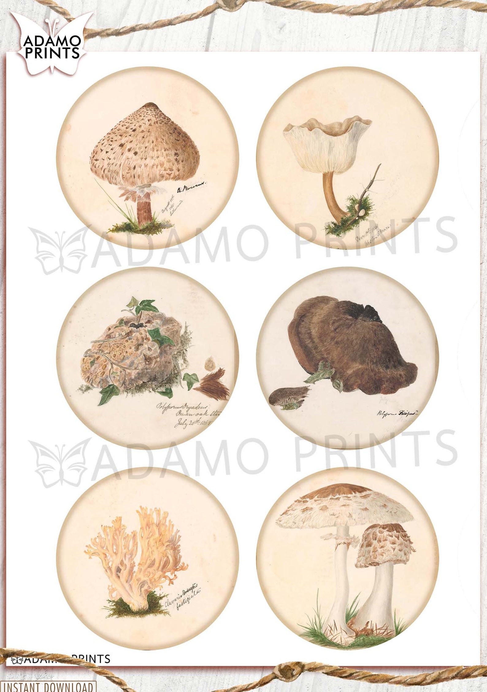 Classy Mushroom Journal Kit, Junk Journal Page, Printable Mushrooms ...