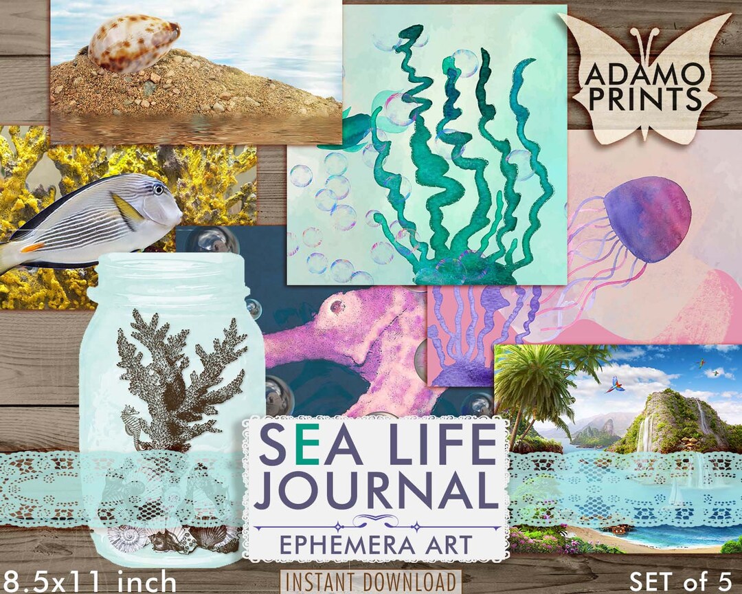 Sea Life Journal, Sand and Sea, Watercolor, Coral, Shell, Seahorse ...