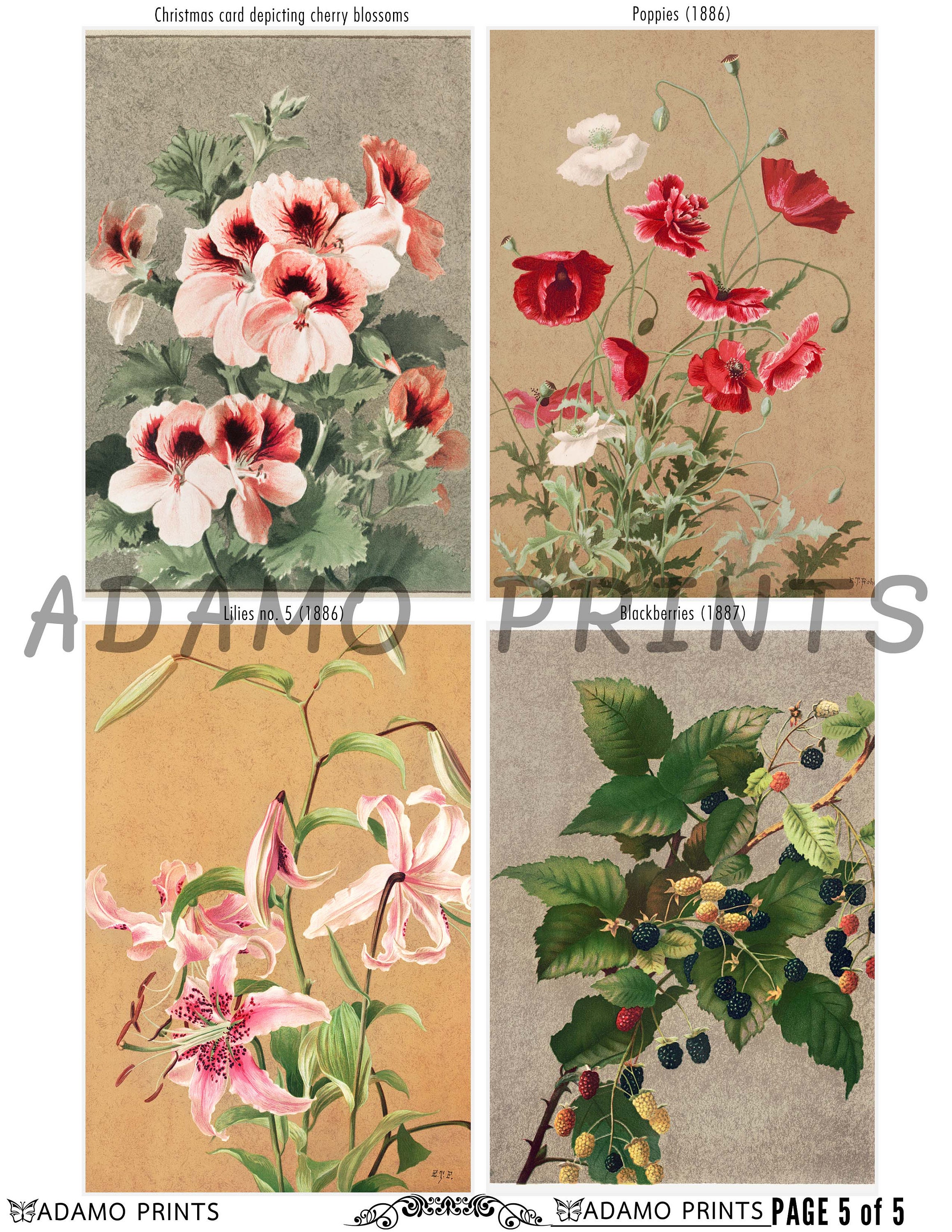 When Flower Bloom Set1 Flower Digital Digital Ephemera - Etsy