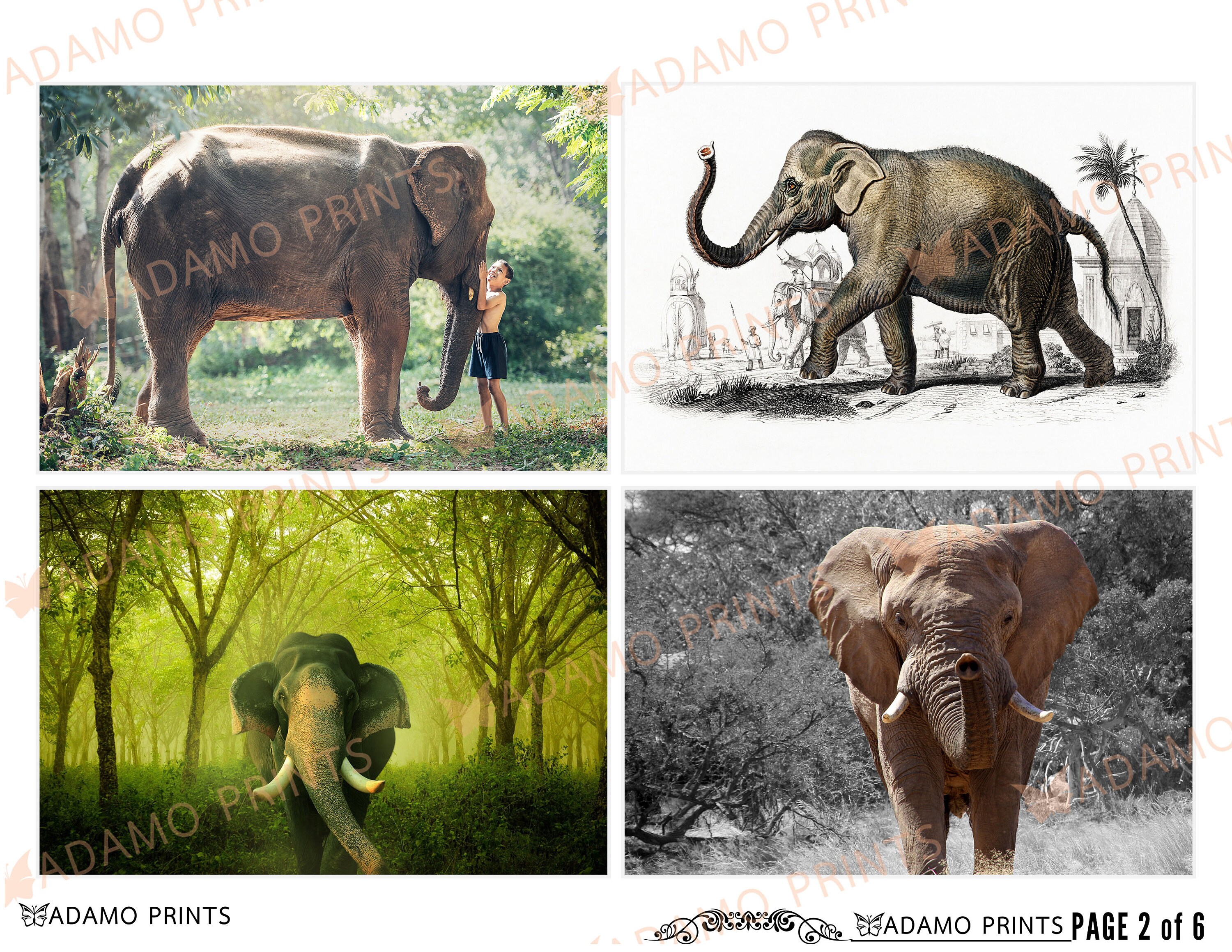 Elephant Digital Collage Ephemera Classics Vintage Vintage | Etsy