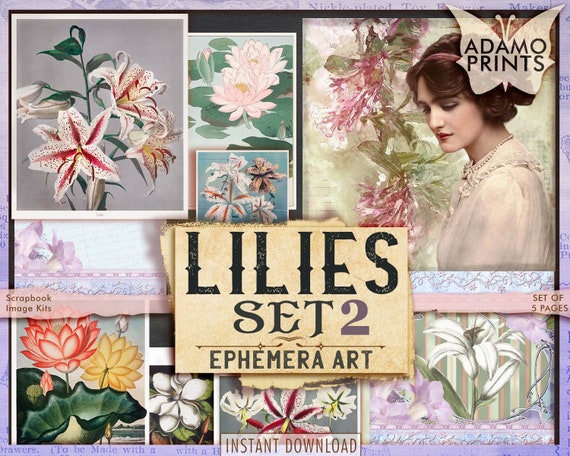 Lilies Set2 Digital Flowers Lily Digital Antique Journal - Etsy