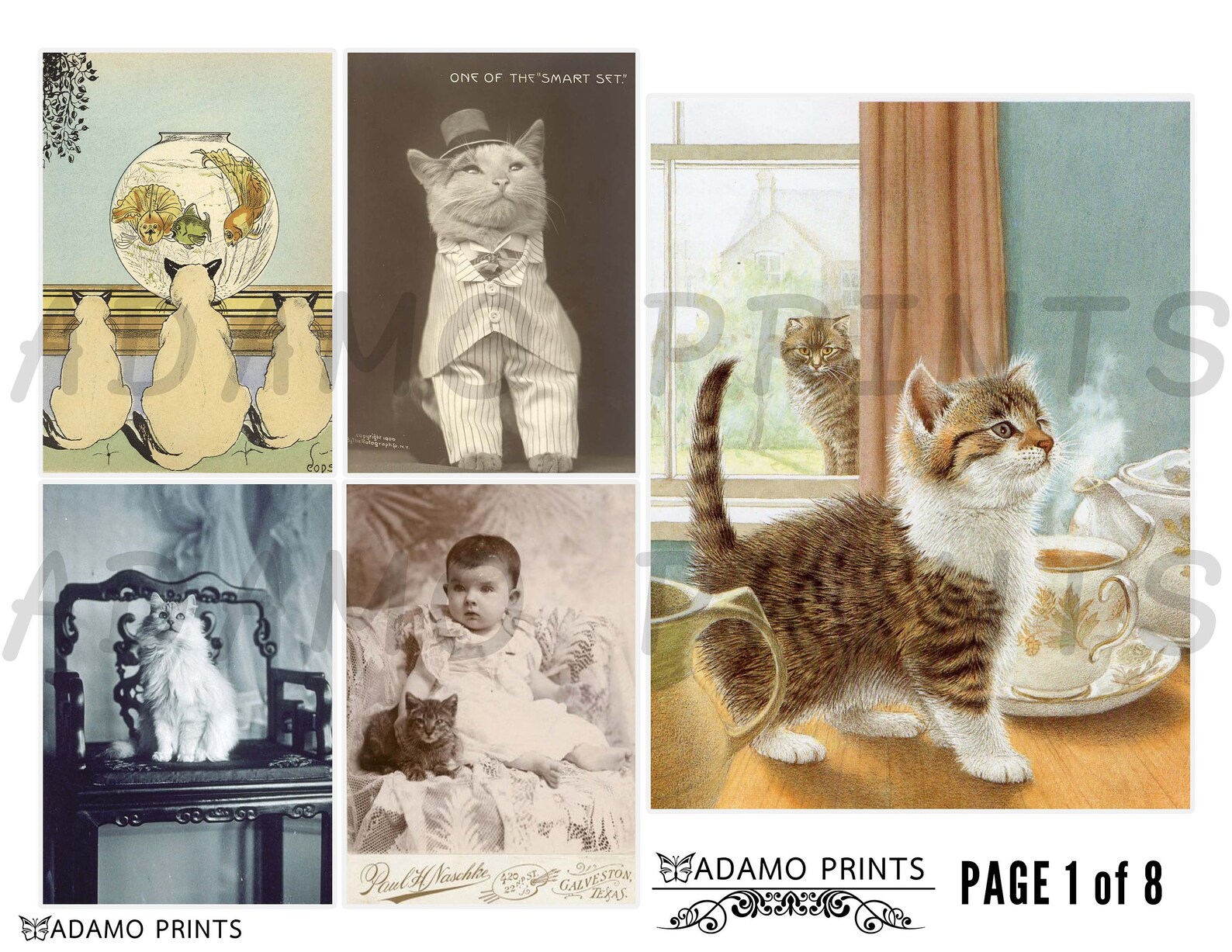 Perfect Cat Photos Printable Images Vintage Art Ephemera | Etsy