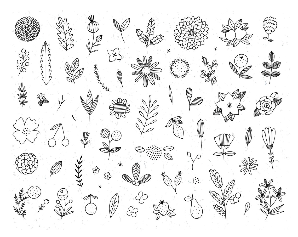 Botanical Clip Art, Floral Line Clip Art, Botanical Illustration Png ...