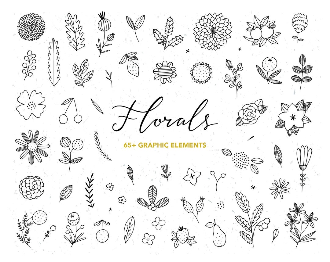 Botanical Clip Art, Floral Line Clip Art, Botanical Illustration Png ...