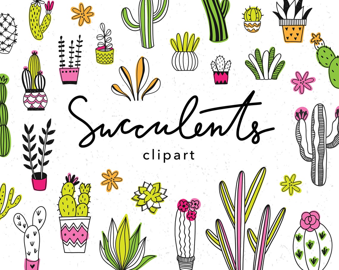 Cactus Clipart Succulent Clipart Cactus Png Floral Clip Art - Etsy