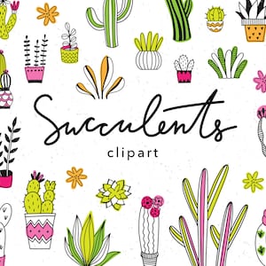 Cactus Clipart Succulent Clipart Cactus Png Floral Clip Art Commercial ...