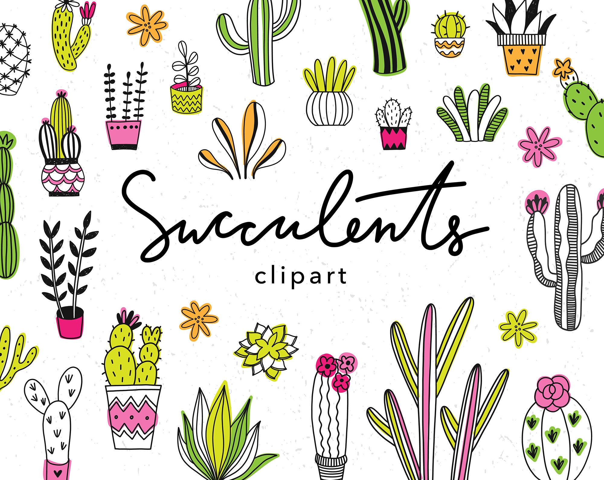Cactus clipart Succulent clipart Cactus png floral clip art | Etsy
