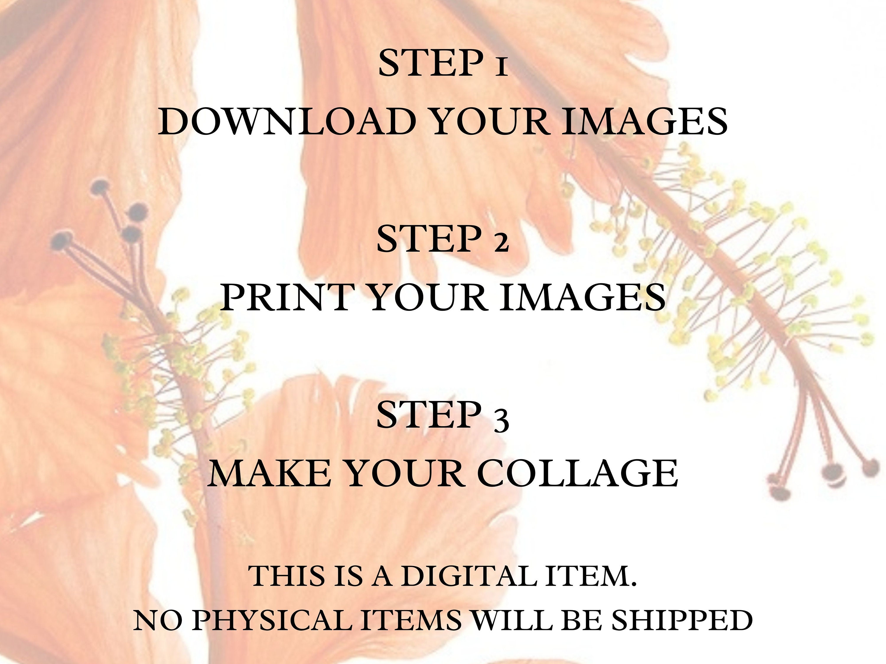 100 Orange Collage Kit, Orange Wall Collage, Peachy Aesthetic Wall ...