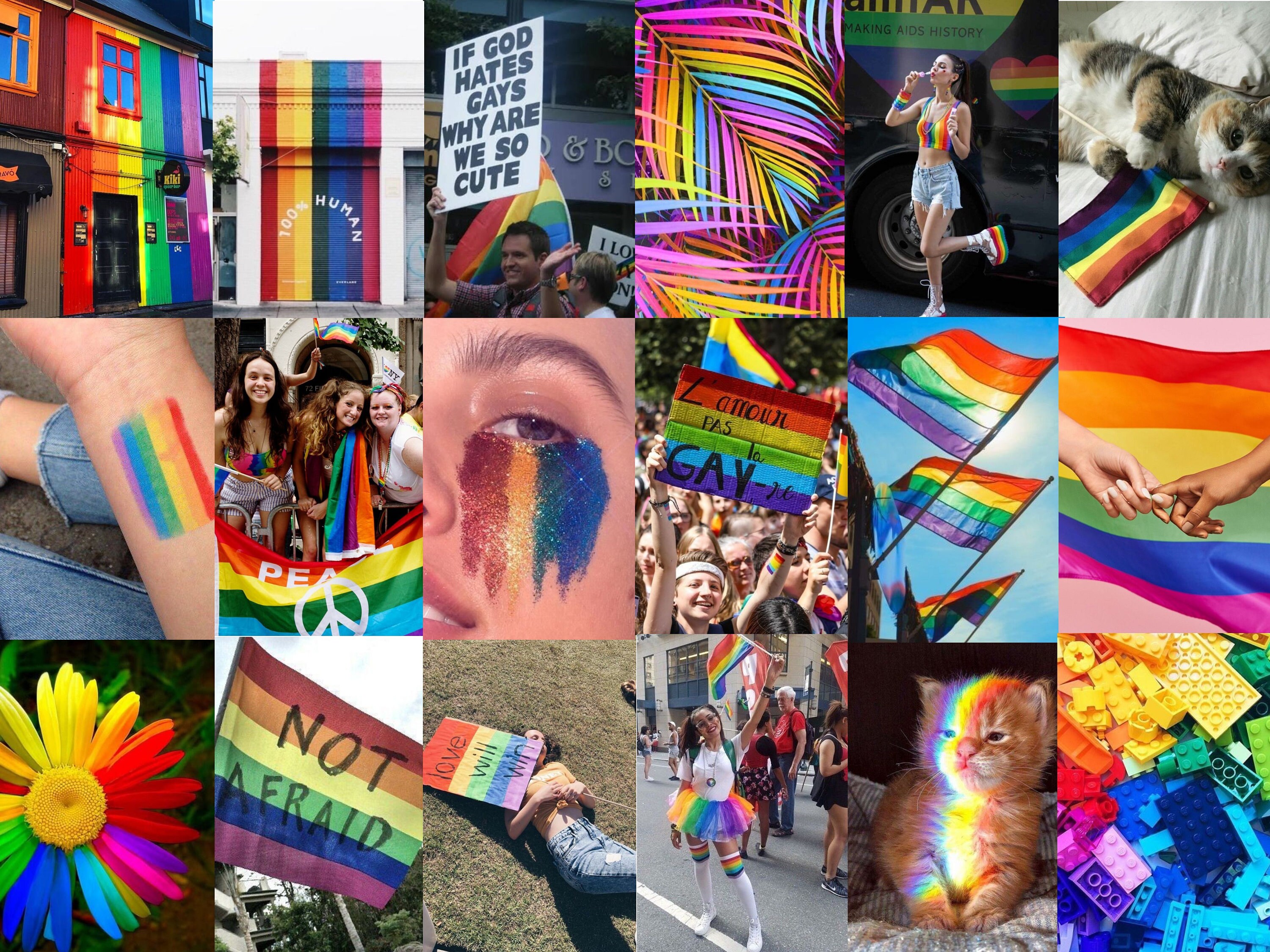 100 Pride Collage Kit, Rainbow Wall Collage, LGBTQ Aesthetic Prints ...