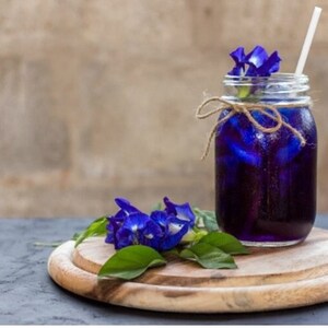 1000g Organic Blue Butterfly Pea Flower Tea Pure Organic Natural Herbal ...