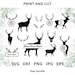 Deer Bundle Svg, Png. Deer Monogram Svg. Christmas Deer Head Svg ...