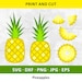 Pineapples SVG, Pineapple Cut File, Pineapple Slice PNG, Tropical Fruit ...