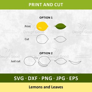Lemons and Leaves, Lemon SVG Cutting Files, Citrus Cut File PNG Svg ...