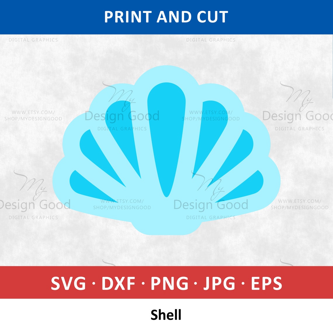 Seashells Svg Sea Shells Svg Shells Svg File Beautiful - Etsy