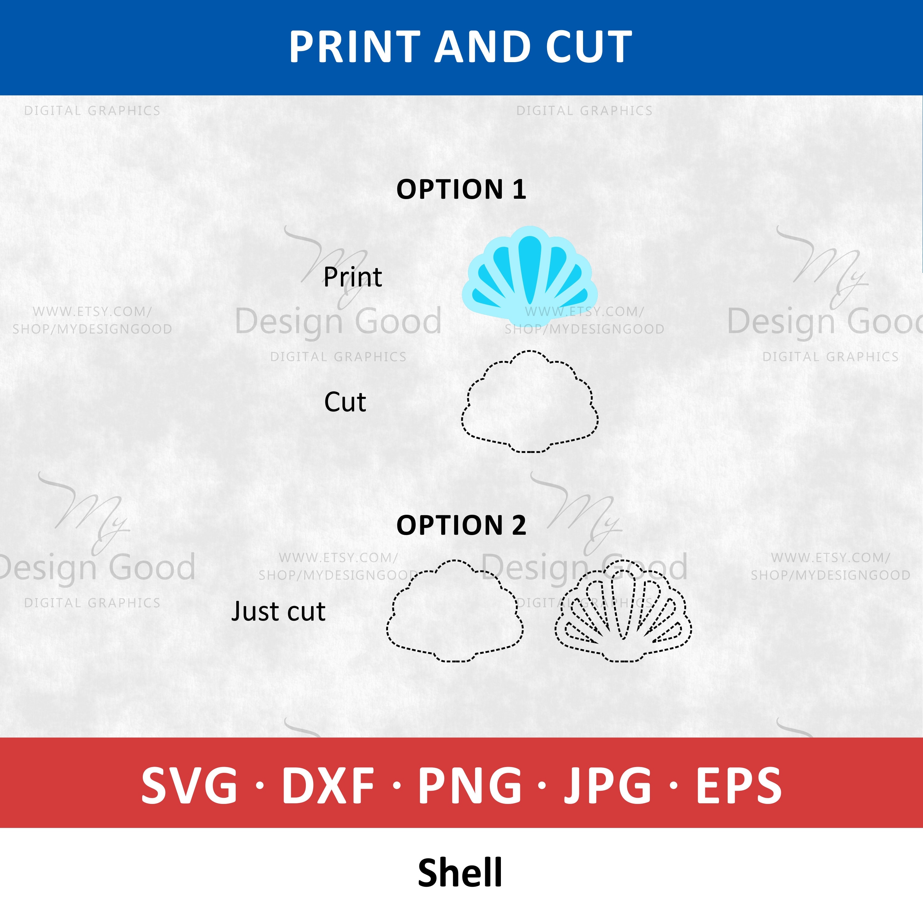 Seashells Svg Sea Shells Svg Shells Svg File Beautiful - Etsy